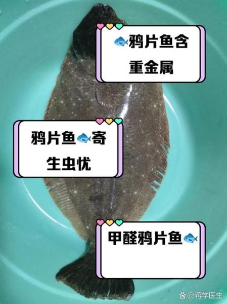 鸦片鱼的功效与作用禁忌_鸦片鱼什么人不能吃-第2张图片-山城妙识 鸦片鱼的功效与作用禁忌_鸦片鱼什么人不能吃-第2张图片-山城妙识