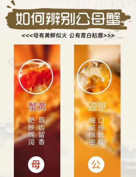 蟹黄蟹膏蟹屎怎么区分_蟹黄蟹膏哪个部位图解-第1张图片-山城妙识 蟹黄蟹膏蟹屎怎么区分_蟹黄蟹膏哪个部位图解-第1张图片-山城妙识