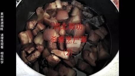 笨笨红烧肉事件_真相是什么-第1张图片-山城妙识 笨笨红烧肉事件_真相是什么-第1张图片-山城妙识