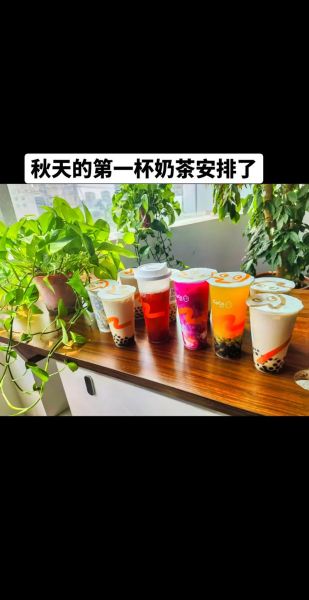 秋天的第一杯奶茶怎么选_秋天的第一杯奶茶推荐-第2张图片-山城妙识 秋天的第一杯奶茶怎么选_秋天的第一杯奶茶推荐-第2张图片-山城妙识