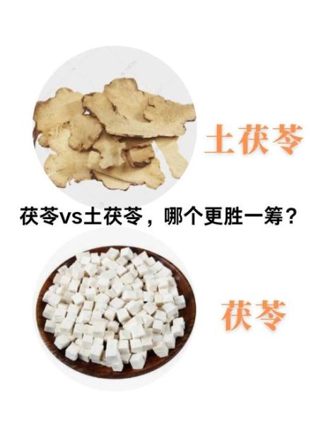 土茯苓图片功效与作用_土茯苓怎么吃最好-第2张图片-山城妙识 土茯苓图片功效与作用_土茯苓怎么吃最好-第2张图片-山城妙识