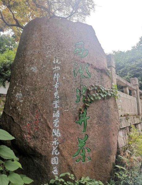 龙井茶哪里的最出名_西湖龙井核心产区-第3张图片-山城妙识 龙井茶哪里的最出名_西湖龙井核心产区-第3张图片-山城妙识