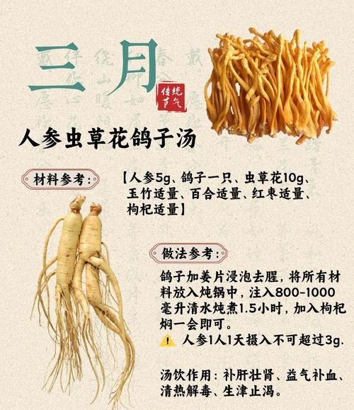 鸽子汤搭配什么食材好_鸽子煲汤最佳配方-第2张图片-山城妙识 鸽子汤搭配什么食材好_鸽子煲汤最佳配方-第2张图片-山城妙识