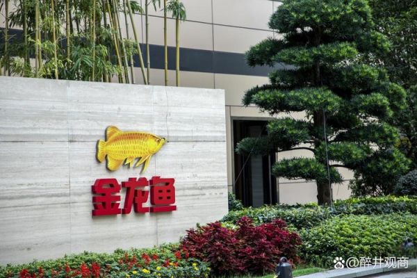 金龙鱼股吧最新消息_金龙鱼股票值得长期持有吗-第2张图片-山城妙识 金龙鱼股吧最新消息_金龙鱼股票值得长期持有吗-第2张图片-山城妙识