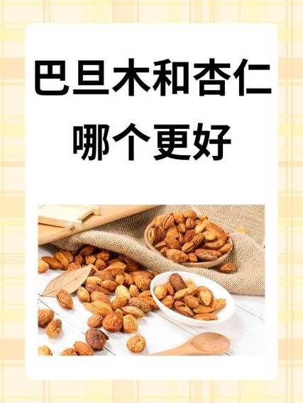 杏仁和巴旦木哪个营养价值高_区别与选择指南-第3张图片-山城妙识 杏仁和巴旦木哪个营养价值高_区别与选择指南-第3张图片-山城妙识