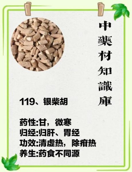 银柴胡的功效与作用_银柴胡适合什么人吃-第2张图片-山城妙识 银柴胡的功效与作用_银柴胡适合什么人吃-第2张图片-山城妙识