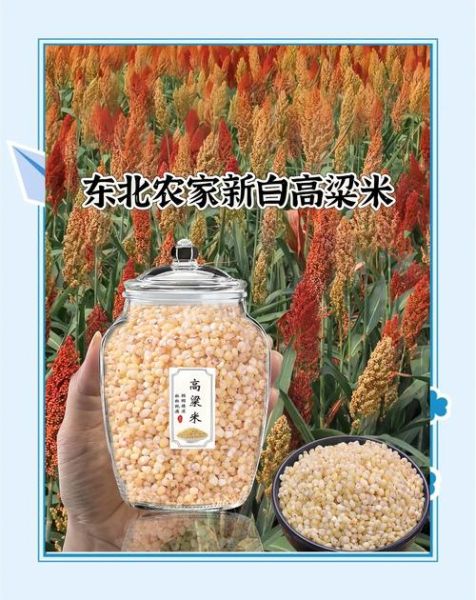 高粱米粥含糖量高不高_糖尿病人能吃吗-第1张图片-山城妙识 高粱米粥含糖量高不高_糖尿病人能吃吗-第1张图片-山城妙识