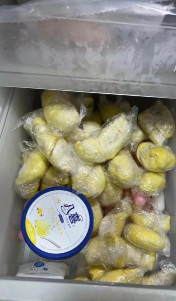 榴莲能放冰箱吗_榴莲放冰箱会不会坏-第3张图片-山城妙识 榴莲能放冰箱吗_榴莲放冰箱会不会坏-第3张图片-山城妙识