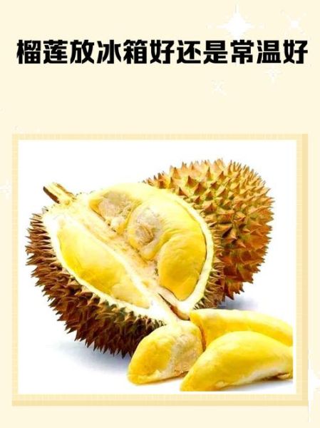 榴莲能放冰箱吗_榴莲放冰箱会不会坏-第1张图片-山城妙识 榴莲能放冰箱吗_榴莲放冰箱会不会坏-第1张图片-山城妙识