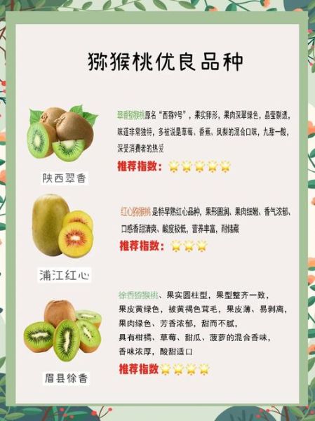 猕猴桃品种口感排名_哪个品种最好吃-第1张图片-山城妙识 猕猴桃品种口感排名_哪个品种最好吃-第1张图片-山城妙识