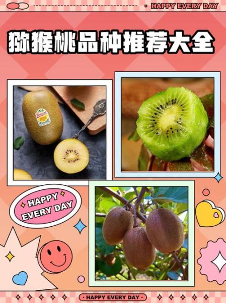 猕猴桃品种口感排名_哪个品种最好吃-第3张图片-山城妙识 猕猴桃品种口感排名_哪个品种最好吃-第3张图片-山城妙识
