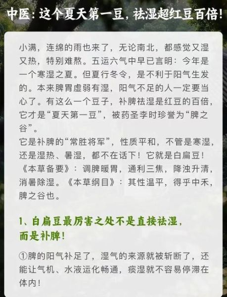 白扁豆祛湿和什么配伍_白扁豆祛湿最佳搭配-第1张图片-山城妙识 白扁豆祛湿和什么配伍_白扁豆祛湿最佳搭配-第1张图片-山城妙识