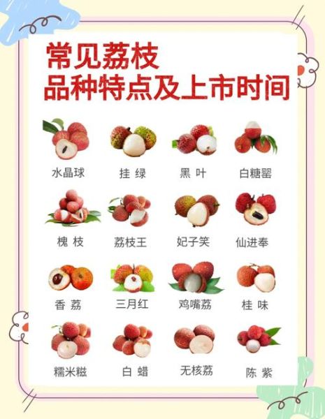 荔枝产地哪里最正宗_如何挑选当季荔枝-第1张图片-山城妙识 荔枝产地哪里最正宗_如何挑选当季荔枝-第1张图片-山城妙识