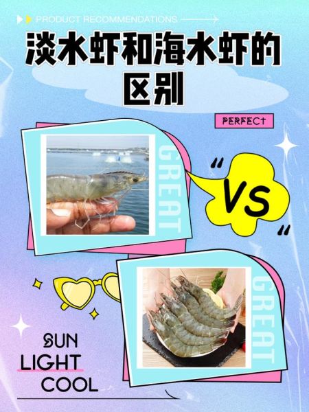 对虾是淡水还是海水_养殖环境全解析-第1张图片-山城妙识 对虾是淡水还是海水_养殖环境全解析-第1张图片-山城妙识