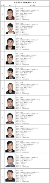 失信人员黑名单查询_如何查询失信名单-第2张图片-山城妙识 失信人员黑名单查询_如何查询失信名单-第2张图片-山城妙识