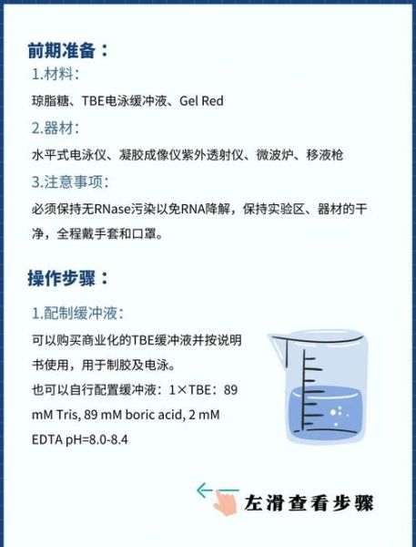 琼脂糖凝胶电泳结果怎么看_条带异常如何解读-第2张图片-山城妙识 琼脂糖凝胶电泳结果怎么看_条带异常如何解读-第2张图片-山城妙识