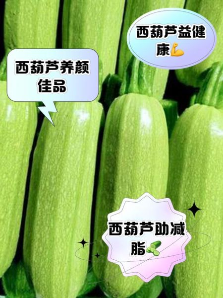 西葫芦的功效与作用_西葫芦的害处有哪些-第1张图片-山城妙识 西葫芦的功效与作用_西葫芦的害处有哪些-第1张图片-山城妙识