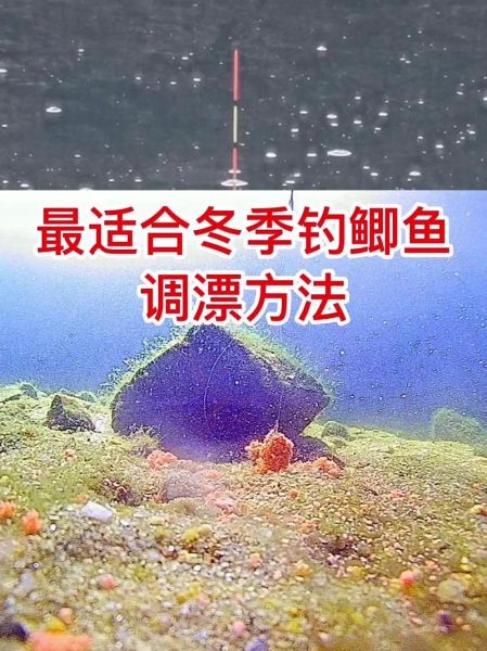 野钓鲫鱼怎么调漂_野钓鲫鱼调漂最佳方法-第2张图片-山城妙识 野钓鲫鱼怎么调漂_野钓鲫鱼调漂最佳方法-第2张图片-山城妙识