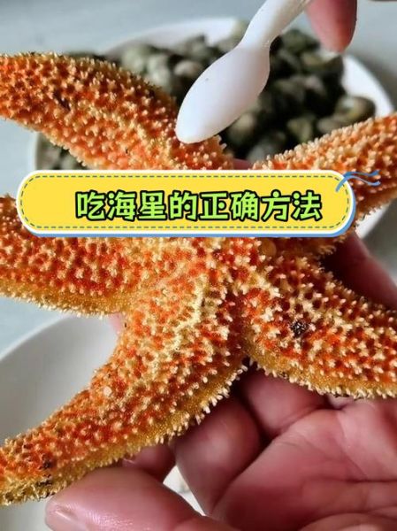 海星吃什么部位_海星哪些部位能吃-第2张图片-山城妙识