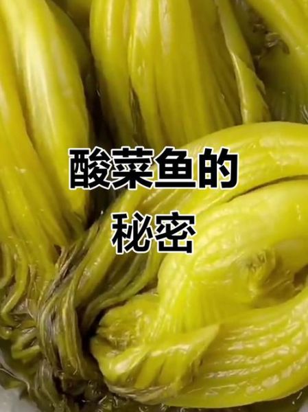 酸菜鱼的酸菜是什么菜_正宗酸菜用哪种芥菜-第2张图片-山城妙识