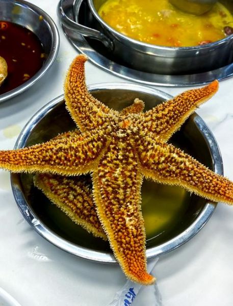 海星吃什么部位_海星哪些部位能吃-第3张图片-山城妙识