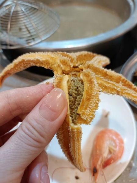 海星吃什么部位_海星哪些部位能吃-第1张图片-山城妙识