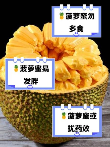 菠萝蜜对身体有什么好处_吃菠萝蜜会上火吗-第1张图片-山城妙识 菠萝蜜对身体有什么好处_吃菠萝蜜会上火吗-第1张图片-山城妙识