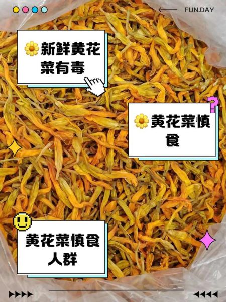 黄花菜是发物吗_哪些人不能吃黄花菜-第1张图片-山城妙识