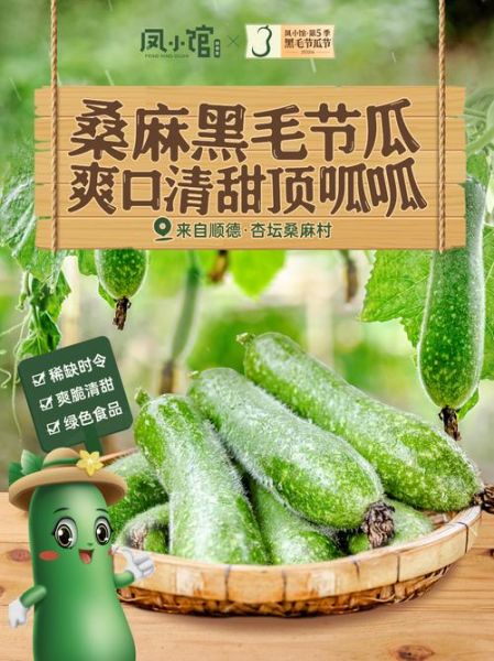 节瓜的功效与作用_节瓜怎么吃最营养-第2张图片-山城妙识 节瓜的功效与作用_节瓜怎么吃最营养-第2张图片-山城妙识
