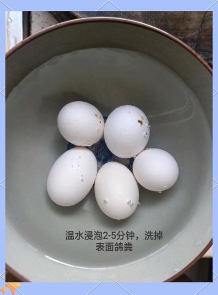 鸽子蛋怎么煮不破_鸽子蛋的家常做法大全-第1张图片-山城妙识 鸽子蛋怎么煮不破_鸽子蛋的家常做法大全-第1张图片-山城妙识