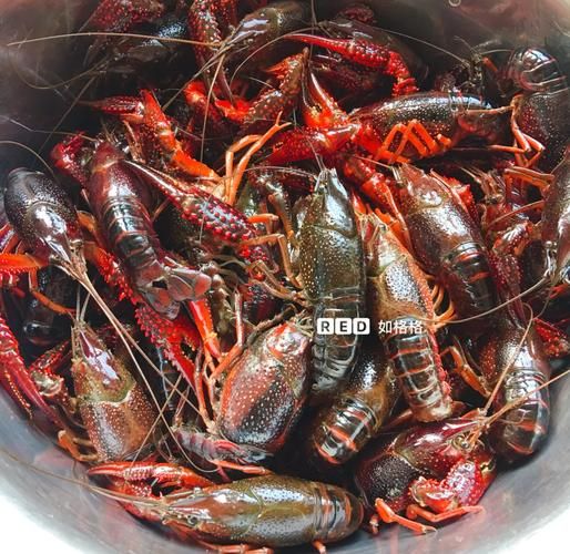 正宗龙虾调料配方怎么做_家庭版麻辣十三香做法-第2张图片-山城妙识 正宗龙虾调料配方怎么做_家庭版麻辣十三香做法-第2张图片-山城妙识