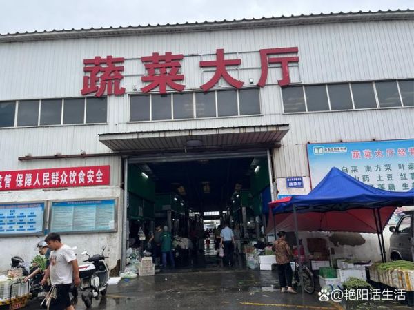 蔬菜批发平台怎么选_蔬菜批发平台哪个便宜-第2张图片-山城妙识