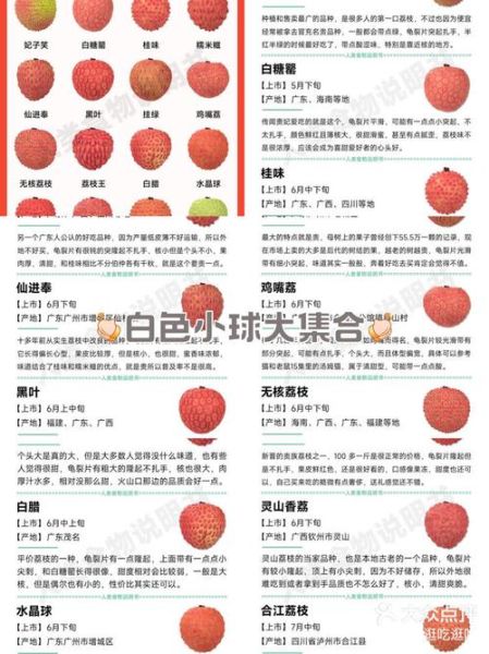 荔枝病是什么_如何预防荔枝病-第1张图片-山城妙识 荔枝病是什么_如何预防荔枝病-第1张图片-山城妙识