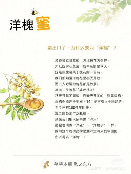 蜂蜜有什么营养价值_蜂蜜的功效与作用有哪些-第3张图片-山城妙识 蜂蜜有什么营养价值_蜂蜜的功效与作用有哪些-第3张图片-山城妙识