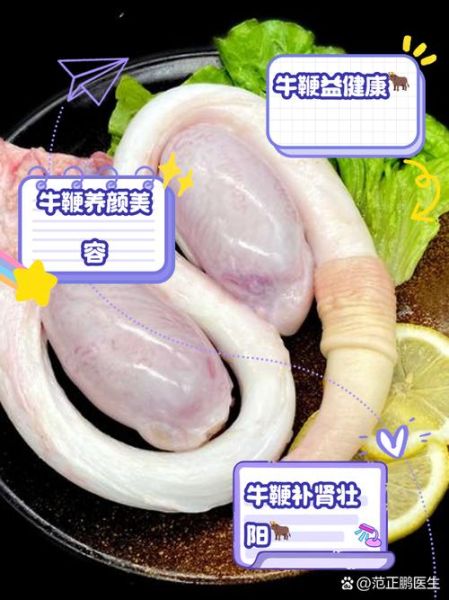 牛鞭的功效与作用_牛鞭怎么吃最补肾-第2张图片-山城妙识 牛鞭的功效与作用_牛鞭怎么吃最补肾-第2张图片-山城妙识