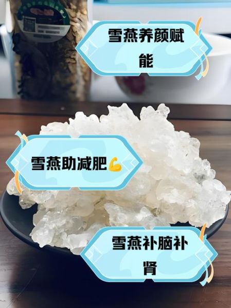 雪燕是什么东西_雪燕有什么功效-第1张图片-山城妙识 雪燕是什么东西_雪燕有什么功效-第1张图片-山城妙识