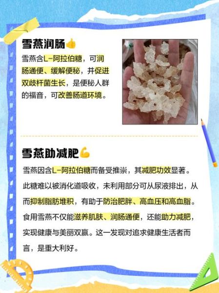 雪燕是什么东西_雪燕有什么功效-第3张图片-山城妙识 雪燕是什么东西_雪燕有什么功效-第3张图片-山城妙识