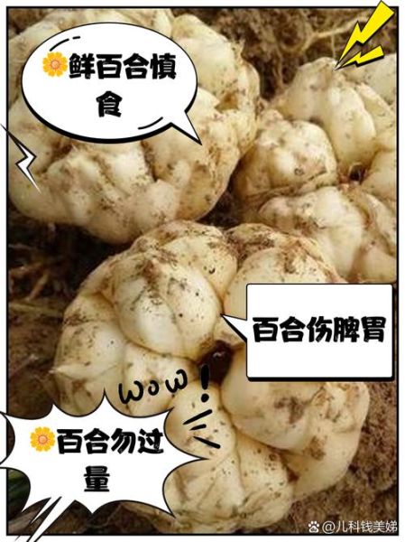 鲜百合哪些人不能吃_鲜百合禁忌人群-第1张图片-山城妙识 鲜百合哪些人不能吃_鲜百合禁忌人群-第1张图片-山城妙识