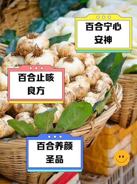 鲜百合哪些人不能吃_鲜百合禁忌人群-第2张图片-山城妙识 鲜百合哪些人不能吃_鲜百合禁忌人群-第2张图片-山城妙识
