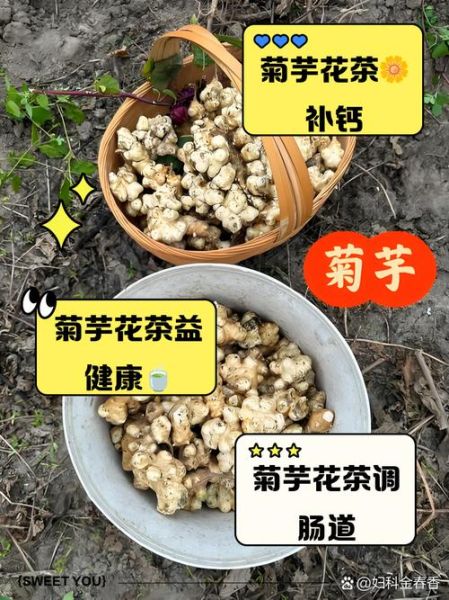 菊芋的功效与作用_菊芋怎么吃最健康-第1张图片-山城妙识 菊芋的功效与作用_菊芋怎么吃最健康-第1张图片-山城妙识