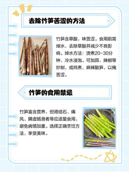 鲜竹笋怎么处理才不会苦_竹笋去苦味的正确方法-第1张图片-山城妙识 鲜竹笋怎么处理才不会苦_竹笋去苦味的正确方法-第1张图片-山城妙识