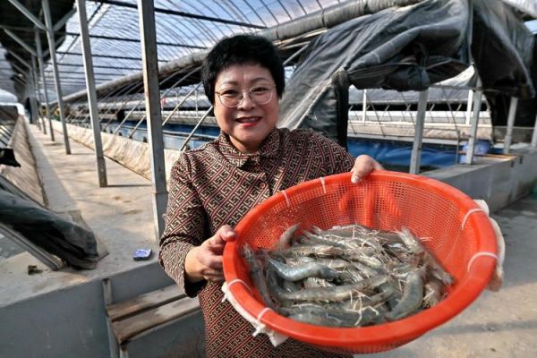 对虾养殖成本与利润_对虾养殖利润有多大-第1张图片-山城妙识