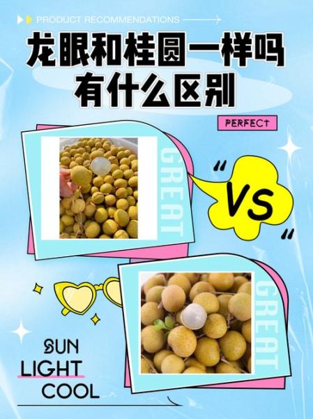 龙眼肉和桂圆肉是同一种东西吗_区别与功效-第1张图片-山城妙识