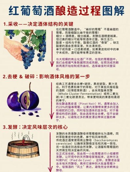 如何在家酿葡萄酒_酿葡萄酒的详细步骤-第2张图片-山城妙识 如何在家酿葡萄酒_酿葡萄酒的详细步骤-第2张图片-山城妙识