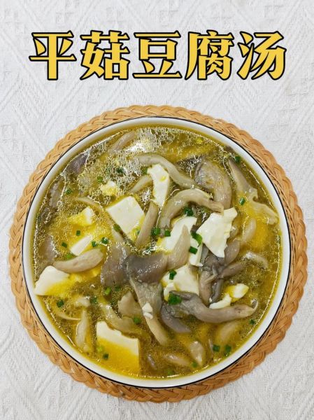平菇汤怎么做好喝_平菇汤的家常做法-第1张图片-山城妙识 平菇汤怎么做好喝_平菇汤的家常做法-第1张图片-山城妙识