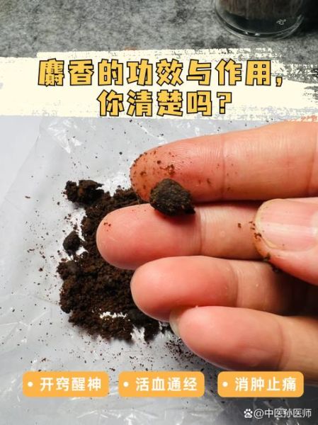 麝香的功效与作用有哪些_麝香有什么害处-第1张图片-山城妙识 麝香的功效与作用有哪些_麝香有什么害处-第1张图片-山城妙识
