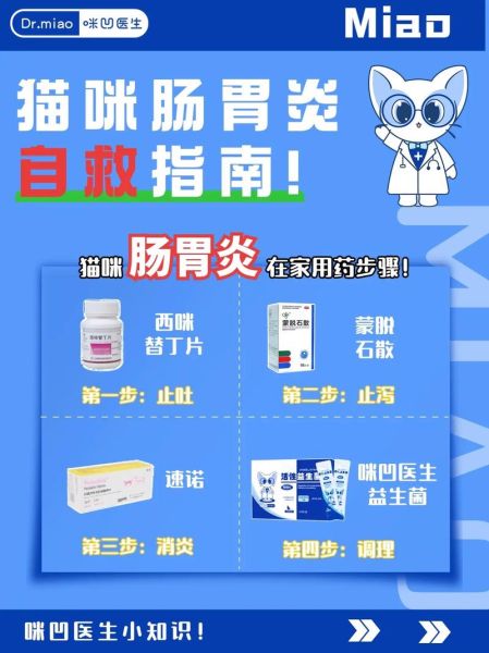 胃肠炎吃什么药比较管用_胃肠炎用药指南-第1张图片-山城妙识 胃肠炎吃什么药比较管用_胃肠炎用药指南-第1张图片-山城妙识