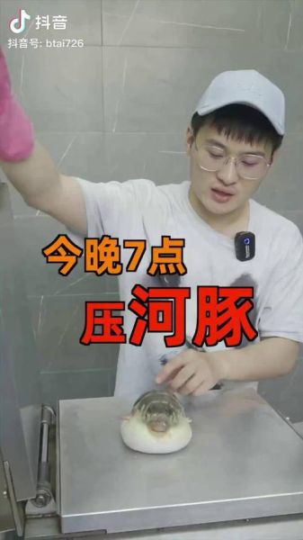 河豚直播app下载官网在哪_河豚直播安全吗-第1张图片-山城妙识 河豚直播app下载官网在哪_河豚直播安全吗-第1张图片-山城妙识