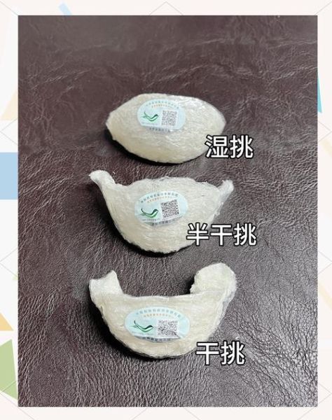 燕窝长什么样子_燕窝真假怎么辨别-第2张图片-山城妙识 燕窝长什么样子_燕窝真假怎么辨别-第2张图片-山城妙识