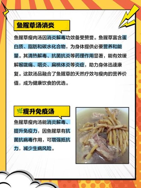鱼腥草炖鸡汤的功效与禁忌_鱼腥草炖鸡汤怎么做-第3张图片-山城妙识